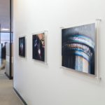 WEXEL ART - Pine and South